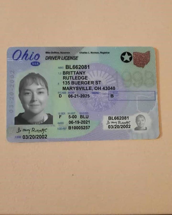Novelty Driver’s Licenses & ID Cards: A Comprehensive Guide for ...